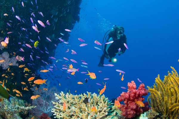 Scuba Diving in Boracay