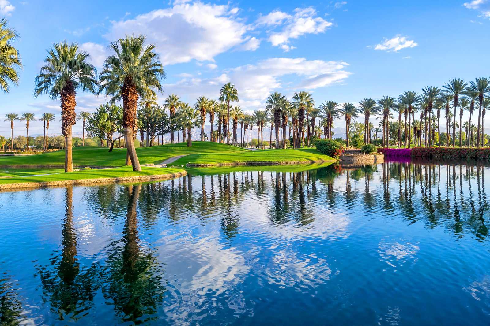 9 Best Things to Do in Palm Springs