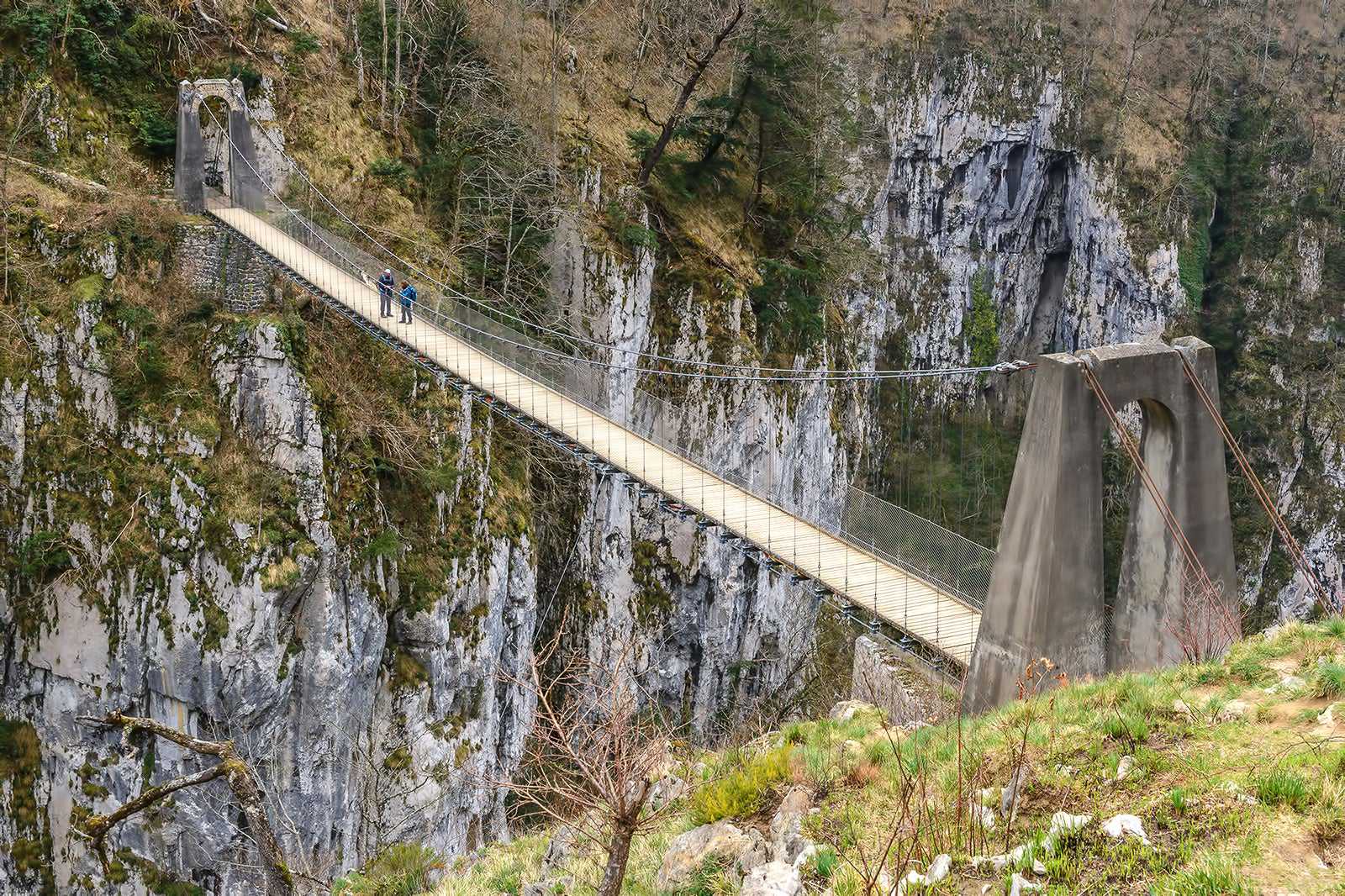 Holzarte Footbridge
