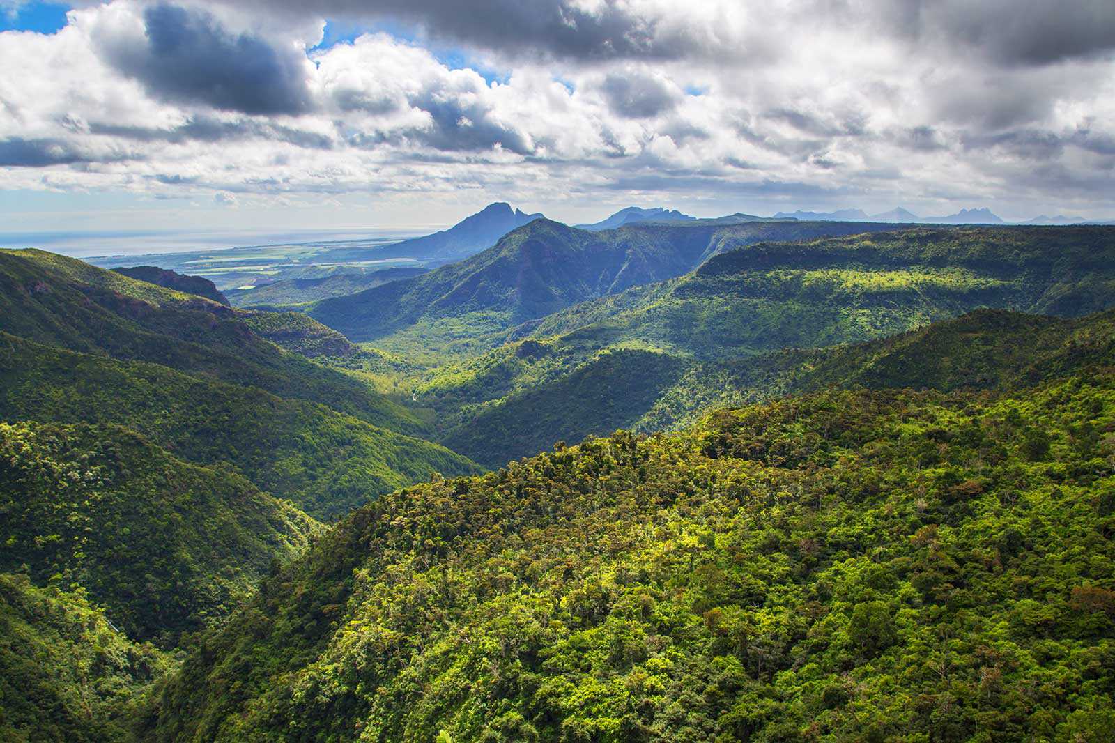 Macchabee Viewpoint
