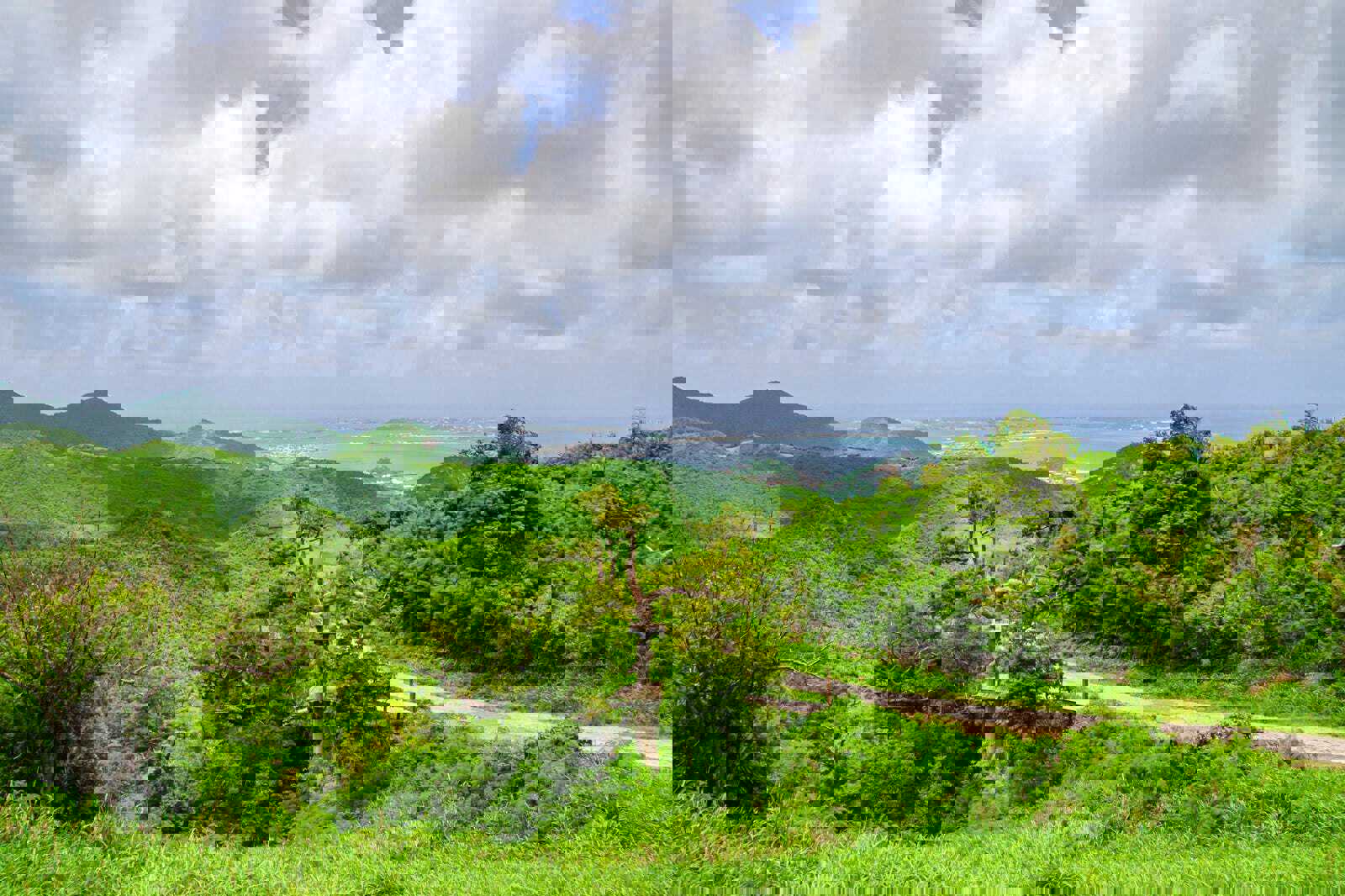 St. Maarten Safari