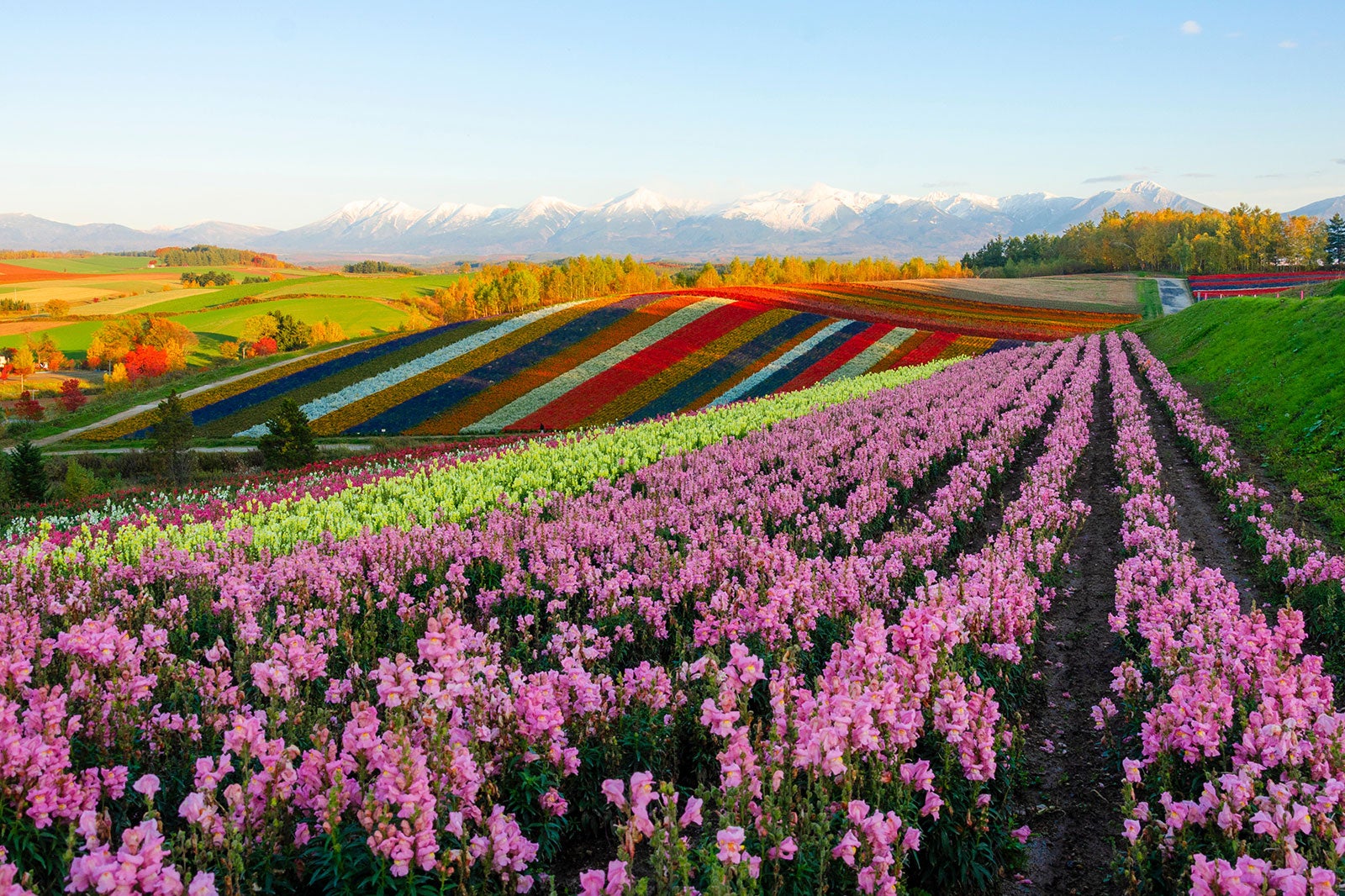 10 Best Things to Do in Hokkaido - Go Guides 10 Best Things to Do in Hokkaido - Go Guides