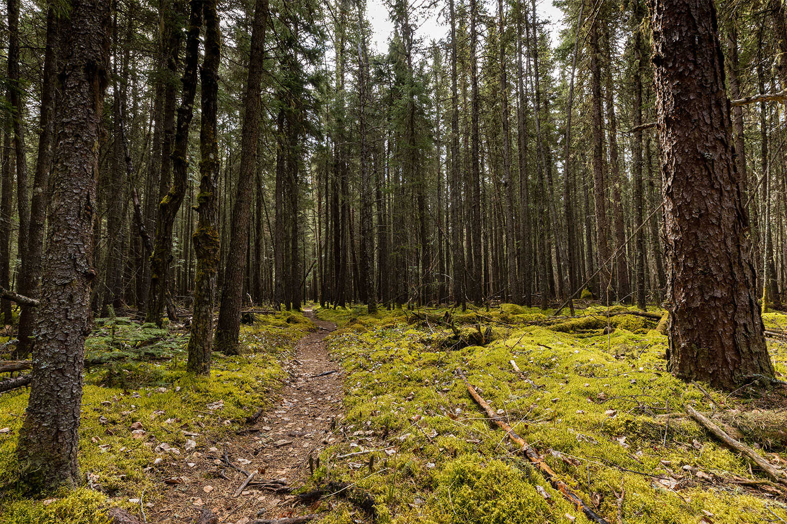 Pukaskwa National Park