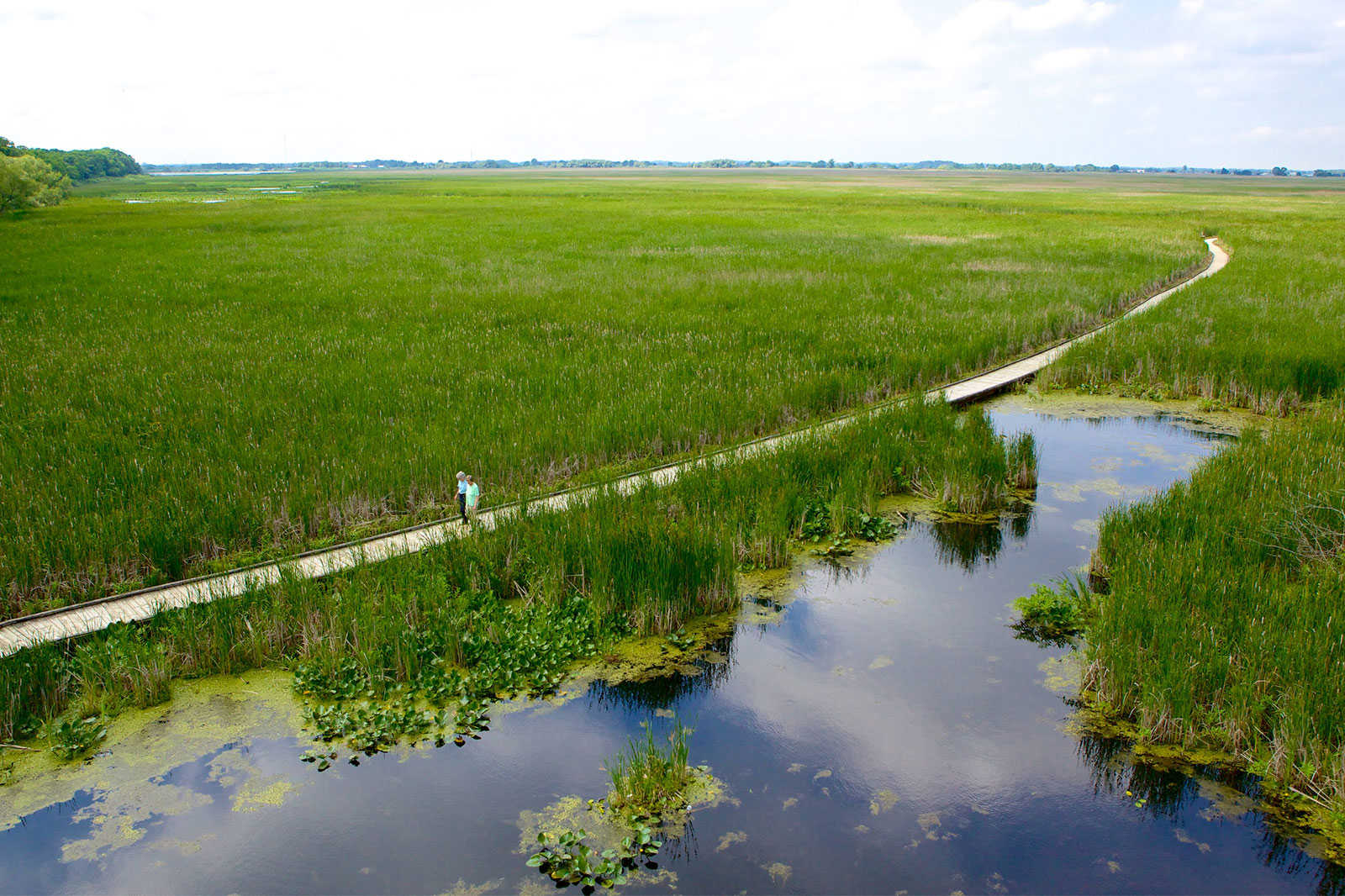 Point Pelee National Park