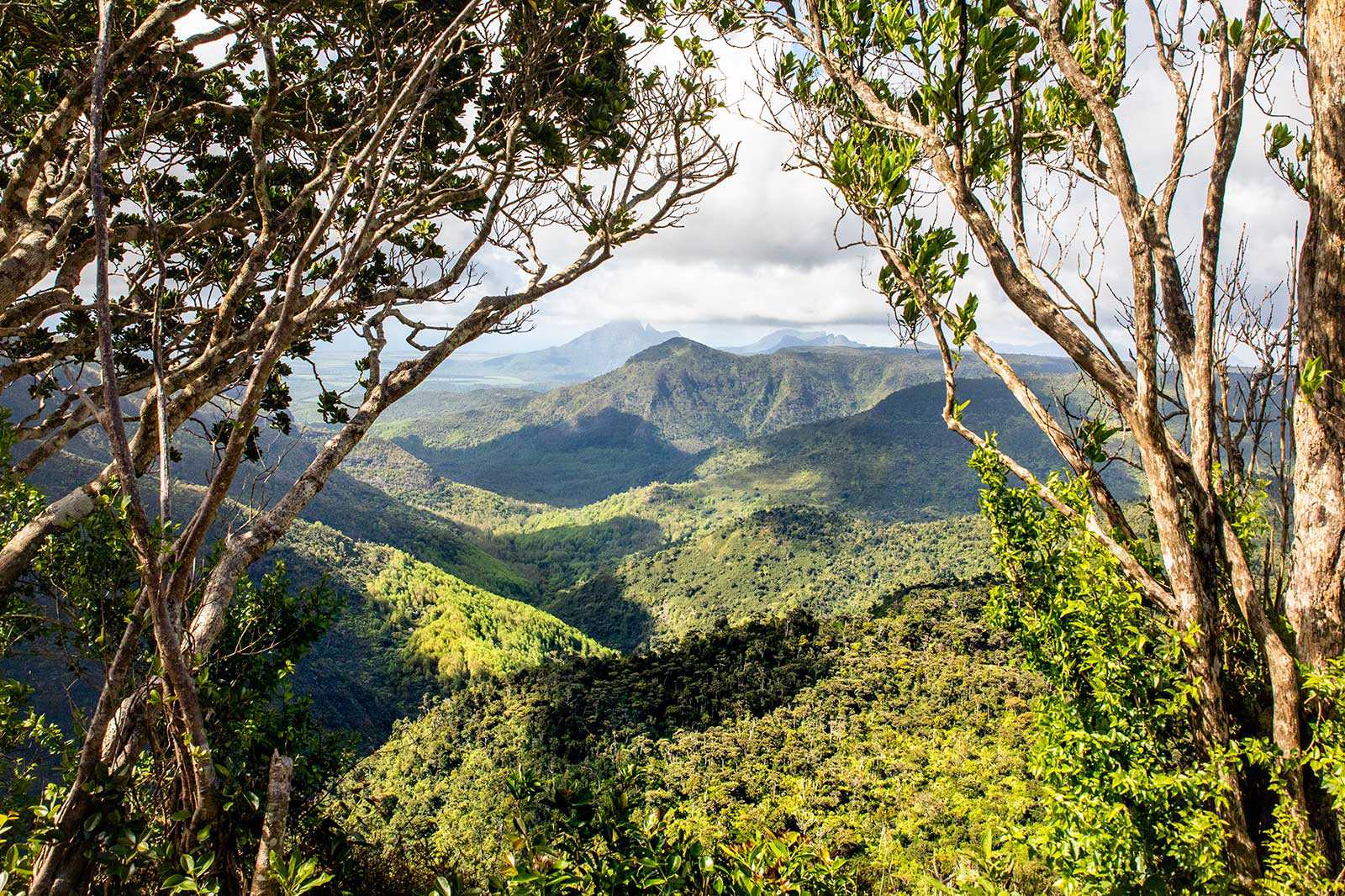 Black River Gorges National Park