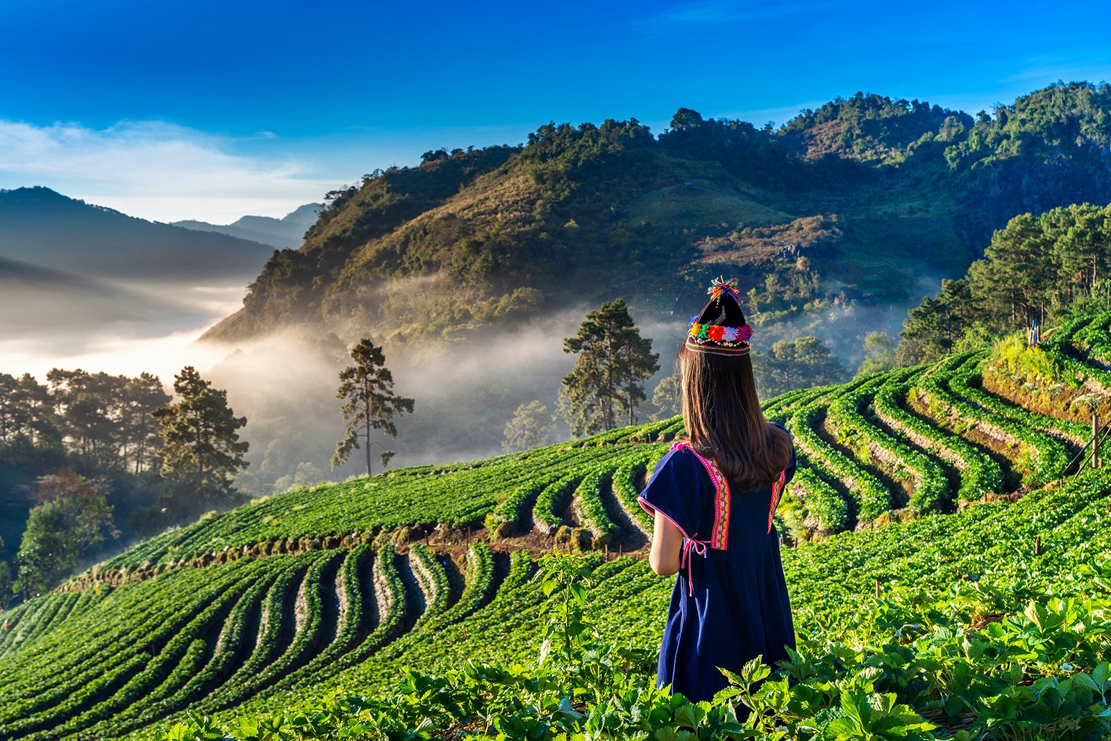 10 Best Natural Sights around Chiang Mai - Escape to Chiang Mai's Most ... 10 Best Natural Sights around Chiang Mai - Escape to Chiang Mai's Most ...