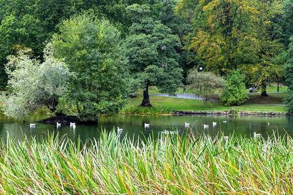 Slottsskogen Park in Gothenburg