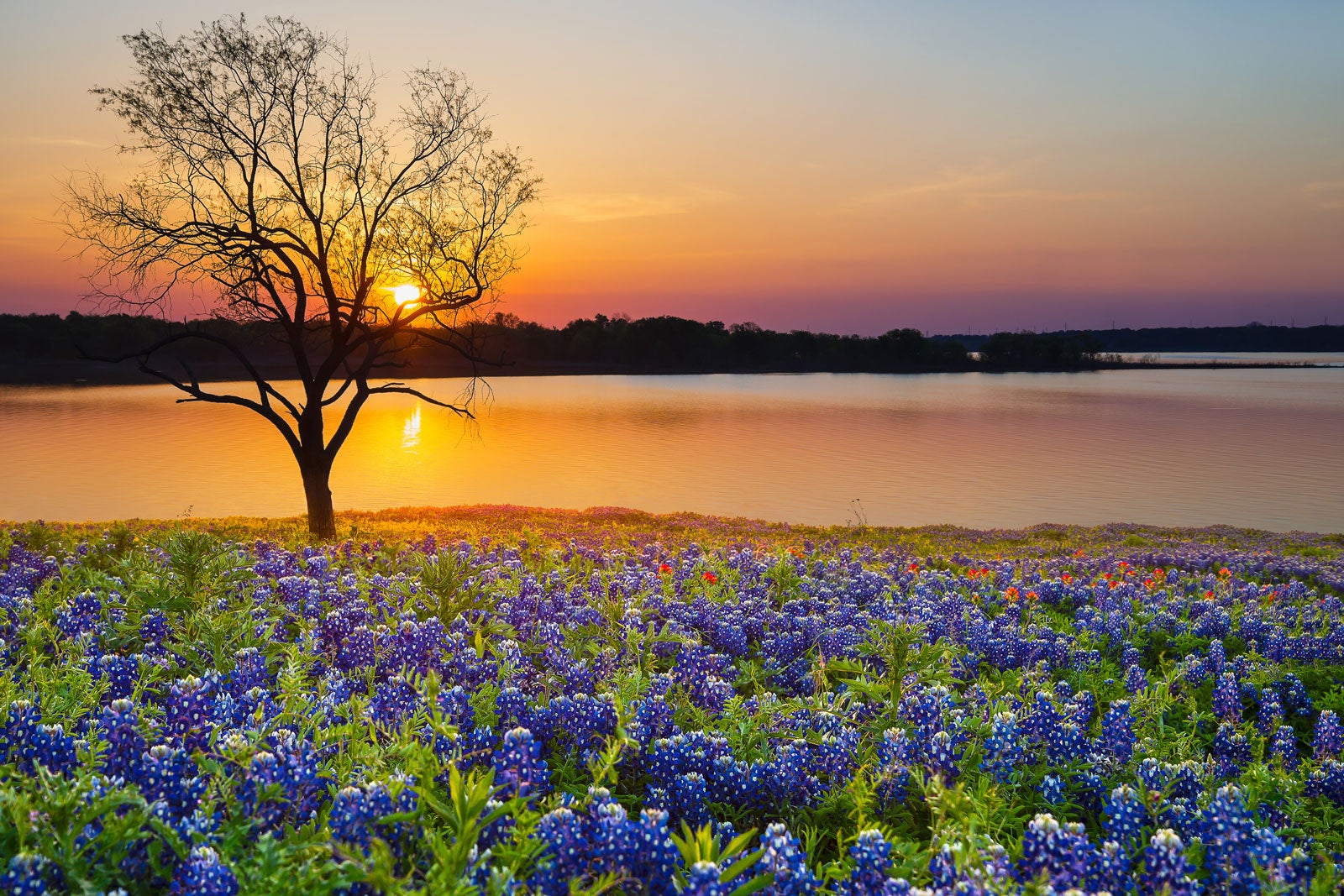10 Best Lakes in Texas - Go Guides 10 Best Lakes in Texas - Go Guides