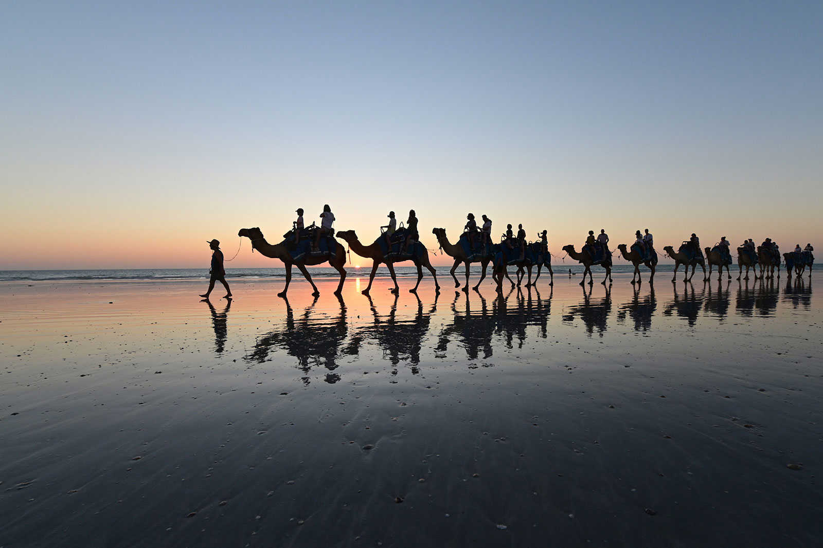Dusk Camel Ride at Djerba Lagoon