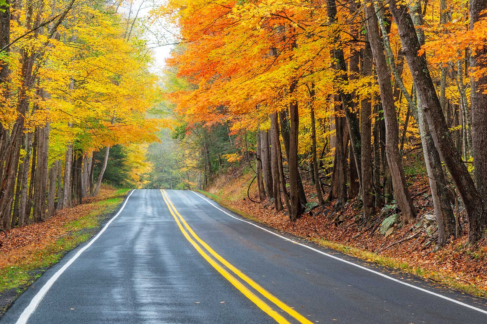 10 Best Road Trips Near Baltimore - Go Guides 10 Best Road Trips Near Baltimore - Go Guides