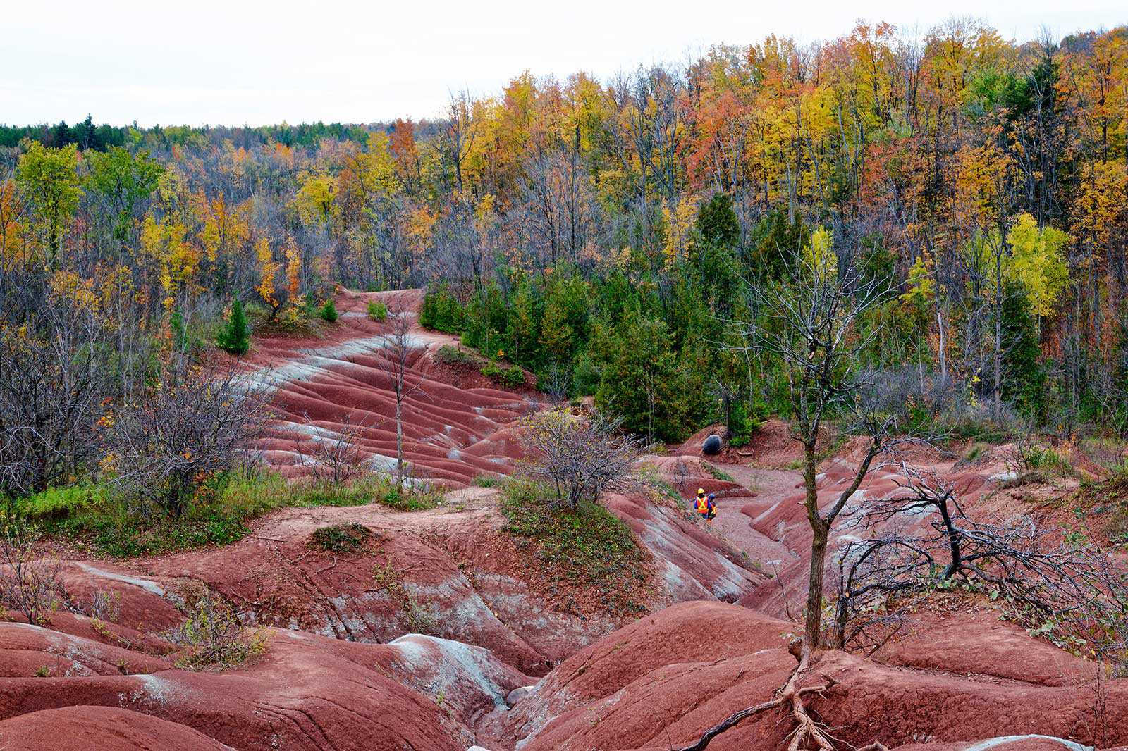 Cheltenham Badlands